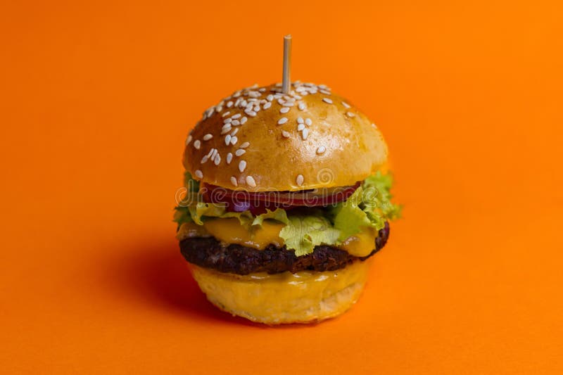Mini Cheeseburger on a Vibrant Background. Stock Photo - Image of meat ...