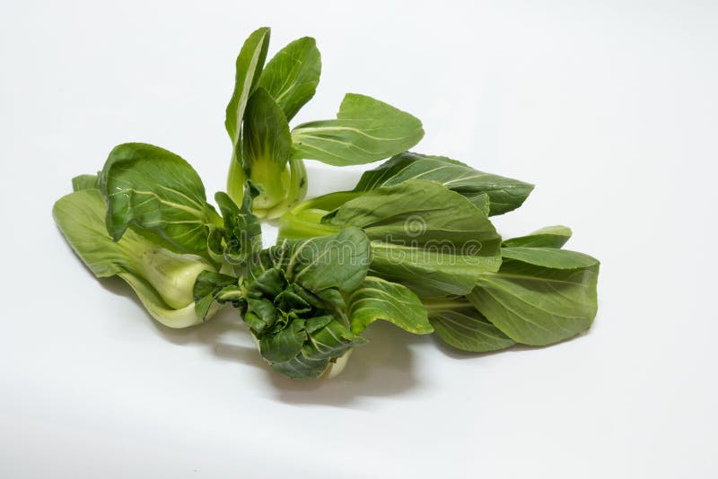 Mini Chinese Cabbage Verde No Branco Imagem de Stock - Imagem de branco ...