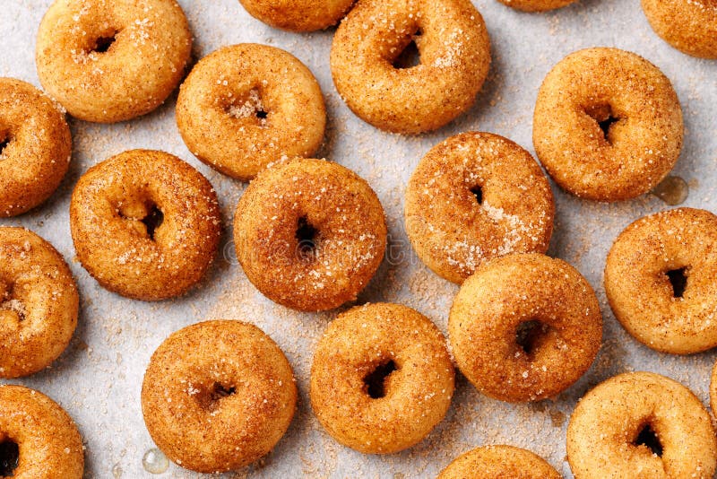 Mini Cinnamon Sugar Donuts on Baking Paper. Stock Image - Image of ...