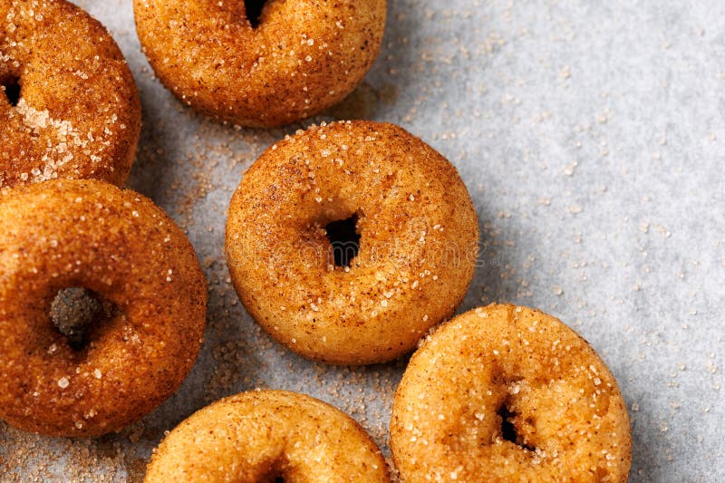 Mini Cinnamon Sugar Donuts on Baking Paper. Stock Photo - Image of ...
