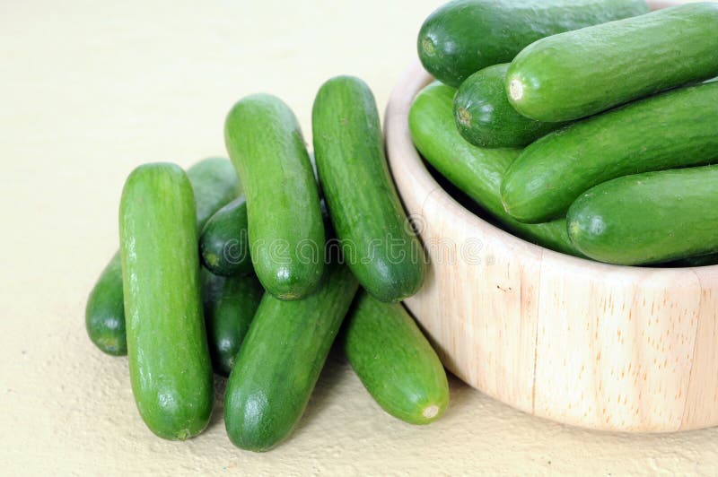 Mini Cucumbers photo stock. Image du herbe, agriculture - 41281276