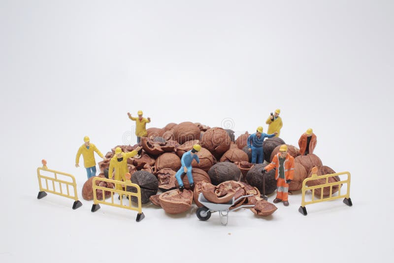 A Mini Construction Worker Figurines Working on Opening Walnuts Stock ...
