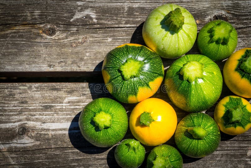 Courgette Ronde Jaune (pepo De Cucurbita) Image stock - Image du ...
