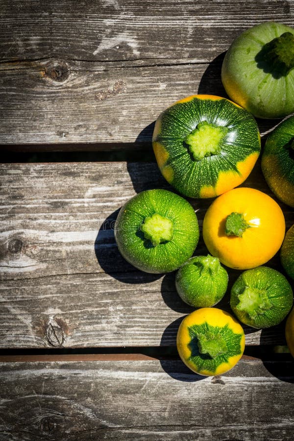 Mini Courgette De Courge De Boule De La Boule Huit De Courgette Photo ...