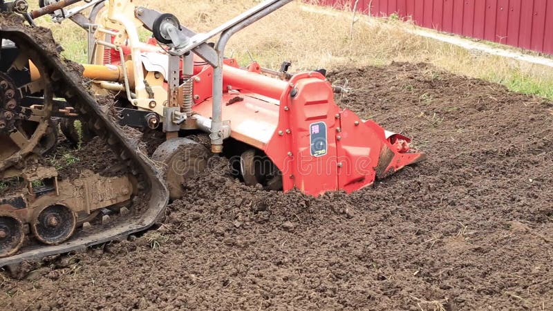 A Mini Crawler Tractor with a Cutter Works on an Agricultural Field ...