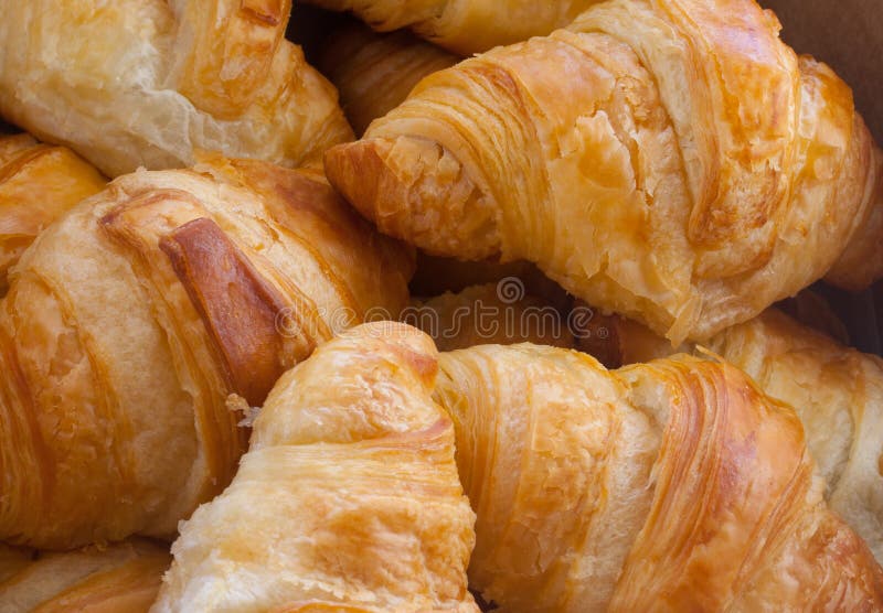 Mini Croissants stock photo. Image of food, mini, roll - 25695748