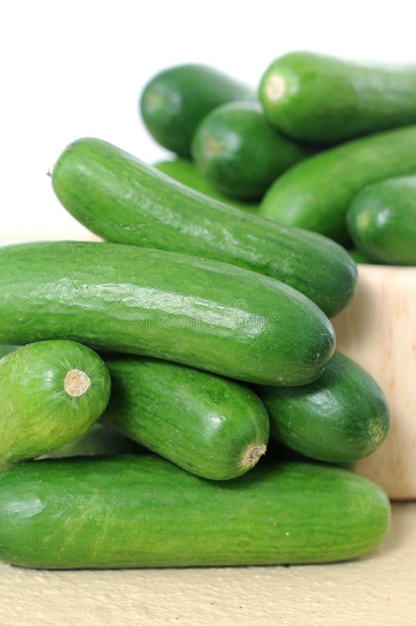 Mini cucumbers stock photo. Image of plant, descriptive - 40810712
