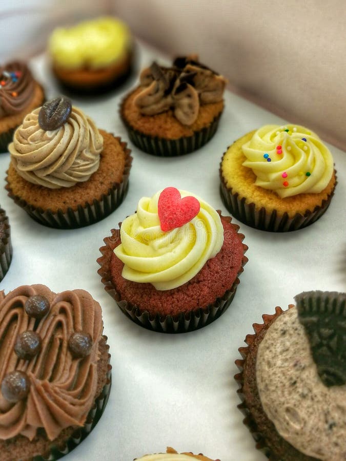 Mini cupcakes stock image. Image of heartshaped, yummy - 87149313