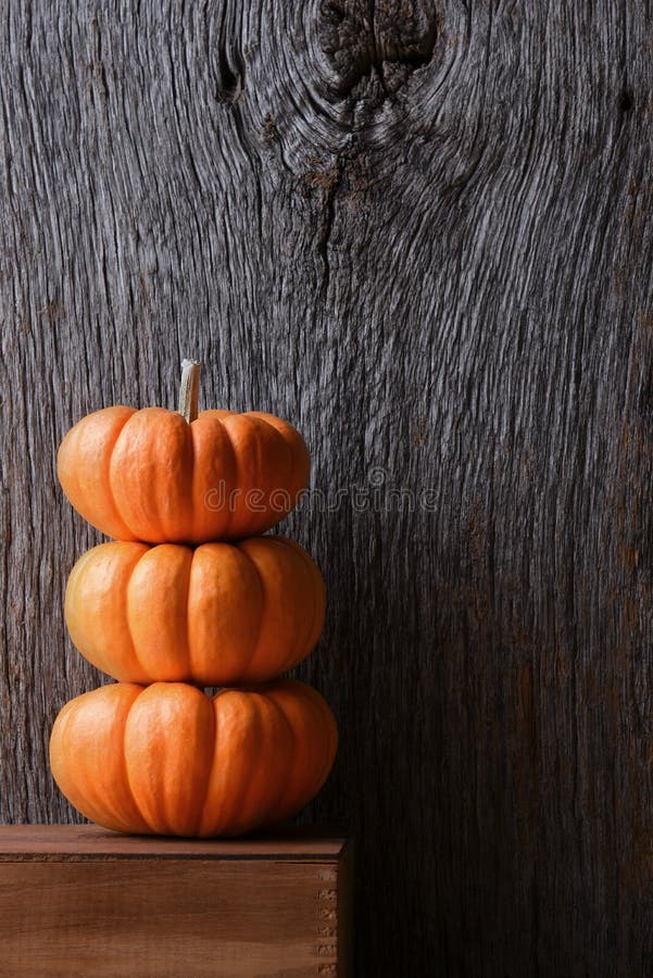 Mini Decorative Pumpkins Against a Rustic Wood Background Stock Photo ...
