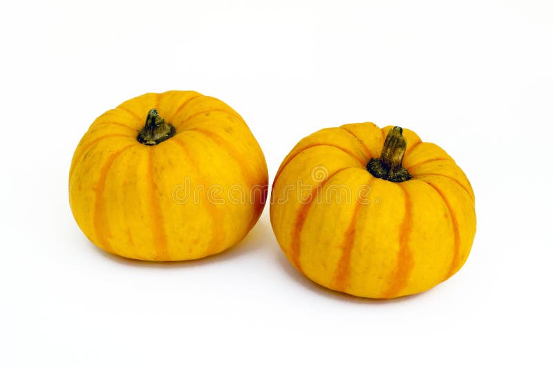 Mini Decorative Pumpkins on White Background Stock Image - Image of ...