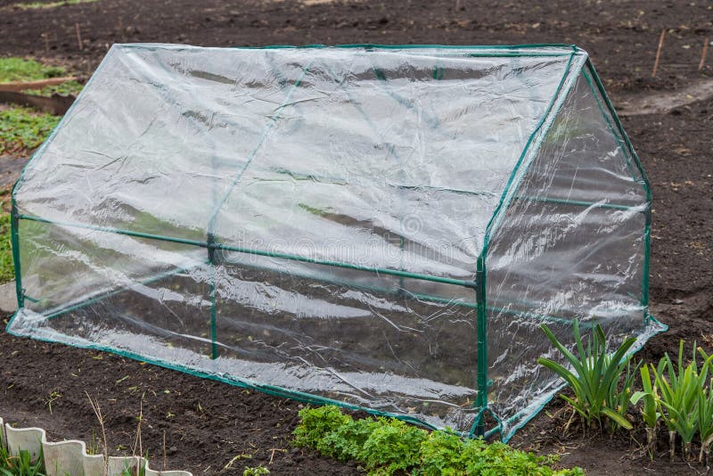 Mini estufa imagem de stock. Imagem de agricultura, quadro - 39809397