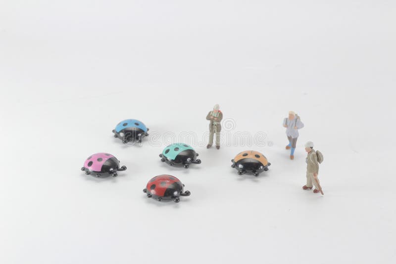 A Mini of Figure Catch the Insect Editorial Image - Image of scout ...