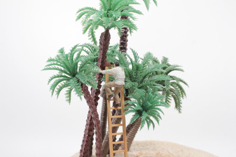 The Mini Figure is Collecting Coconuts on Mini Tree Stock Image - Image ...