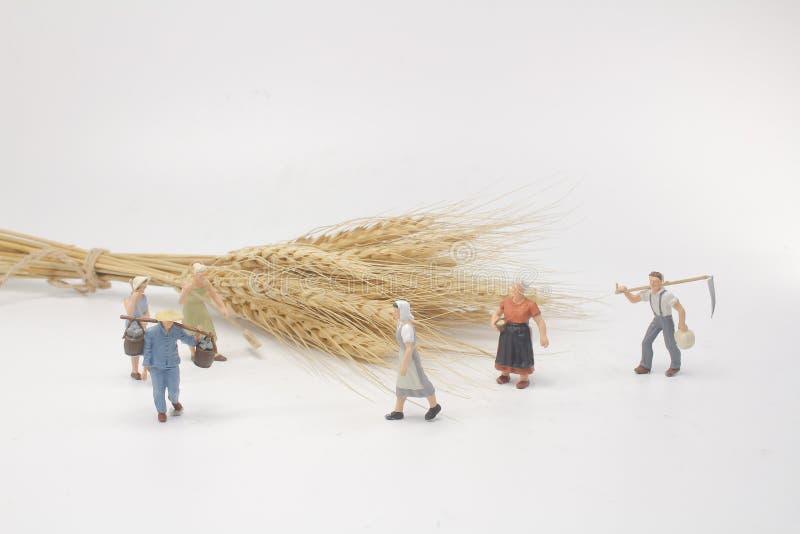 A Mini of Figure with the Hay Stock Image - Image of countryside, male ...