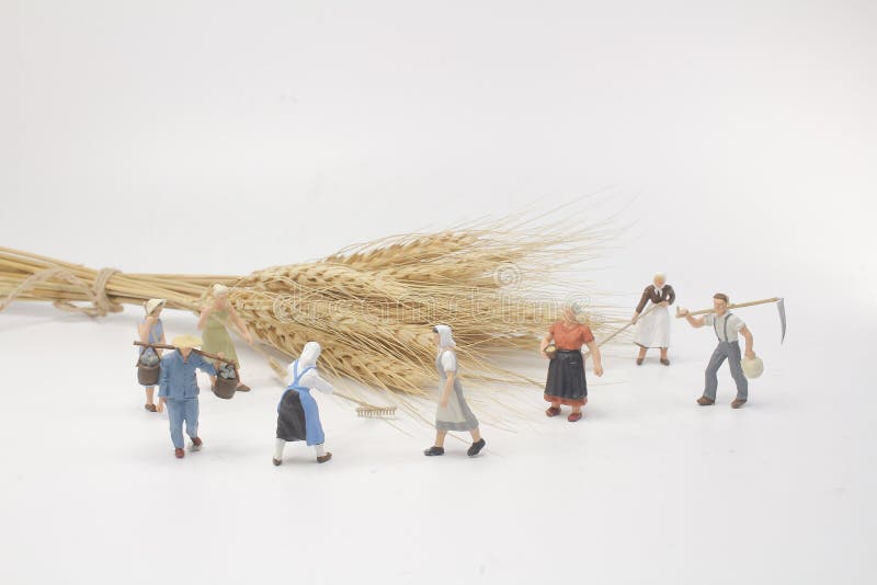 A Mini of Figure with the Hay Stock Image - Image of agronomy, standing ...