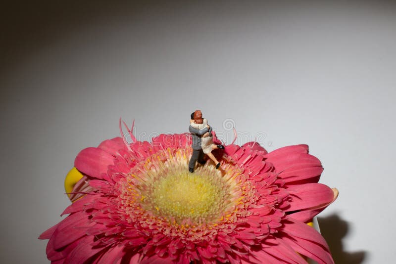 A Mini of Figure of Lover on Flower Stock Image - Image of pink, love ...