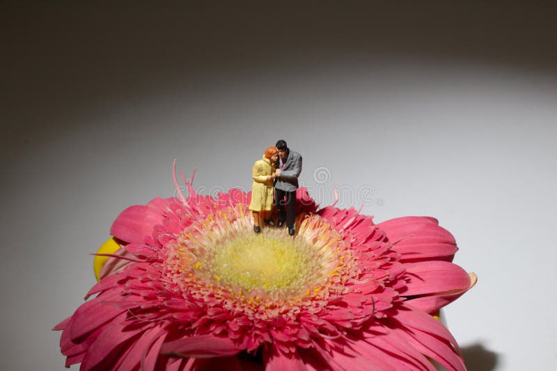 A Mini of Figure of Lover on Flower Stock Image - Image of pink ...