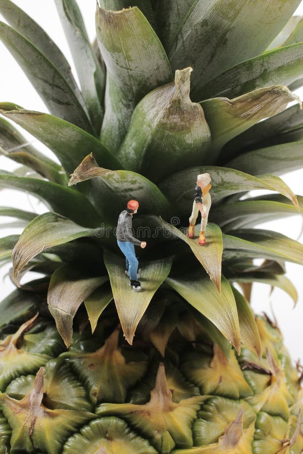 Mini ice skating rink stock photo. Image of season, mini - 7270714