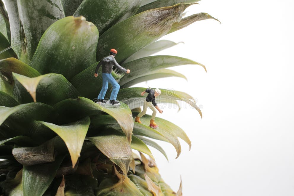 The Mini Figure Roller Skating on the Pineapple Stock Photo - Image of ...