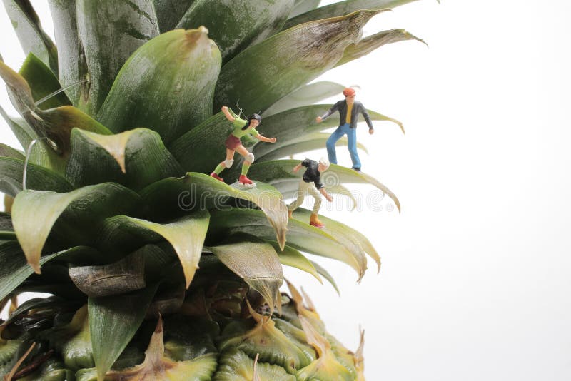 Mini ice skating rink stock photo. Image of season, mini - 7270714