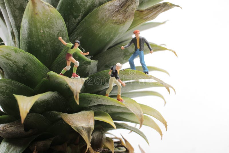 Mini ice skating rink stock photo. Image of season, mini - 7270714