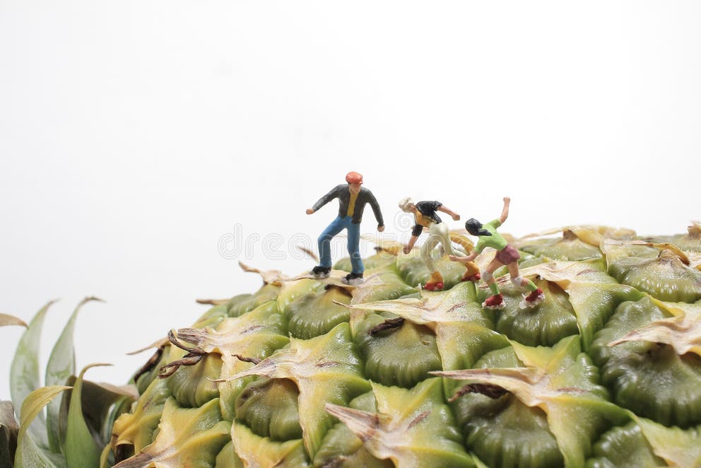The Mini Figure Roller Skating on the Pineapple Stock Photo - Image of ...