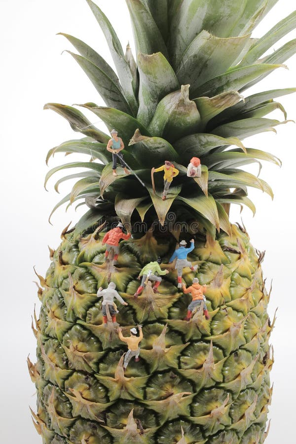 Mini ice skating rink stock photo. Image of season, mini - 7270714