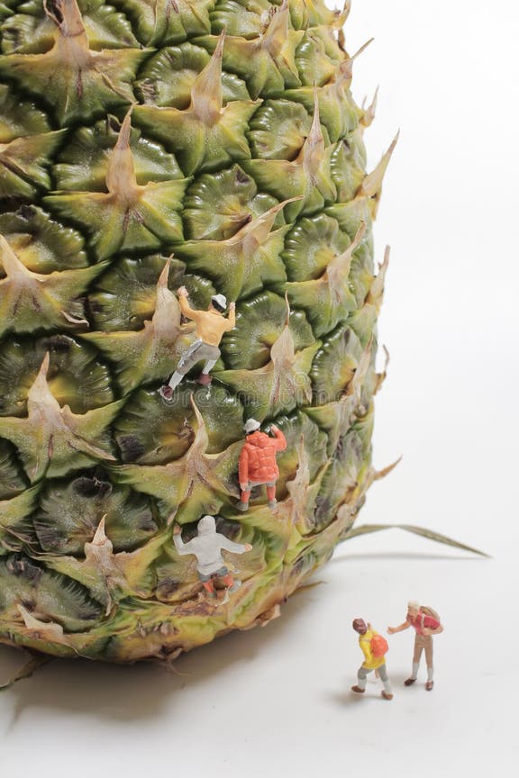 The Mini Figure Roller Skating on Thepineapple Stock Photo - Image of ...