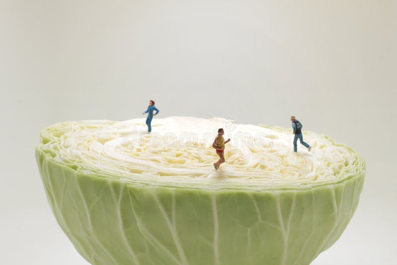 A Mini Figure Runner Running on Cabbage Stock Image - Image of healthy ...