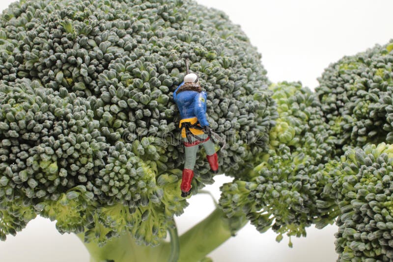 A Mini Figure Travel at Broccoli Tree Stock Image - Image of amusing ...