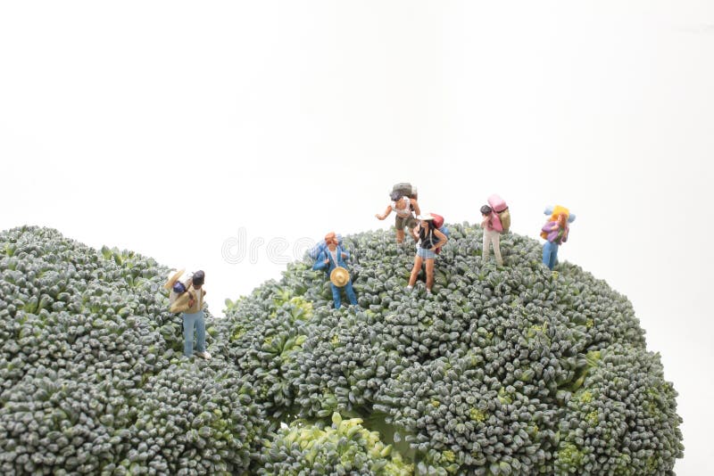 A Mini Figure Travel at Broccoli Tree Stock Image - Image of humorous ...