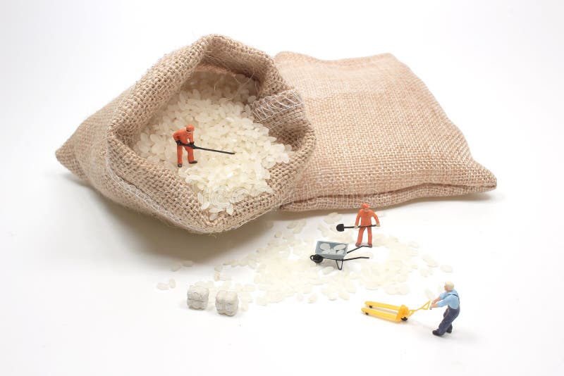 A Mini Figure of Worker on the Rice Stock Image - Image of labor ...