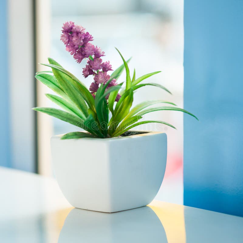 Mini flores foto de archivo. Imagen de follaje, hojas - 36794858