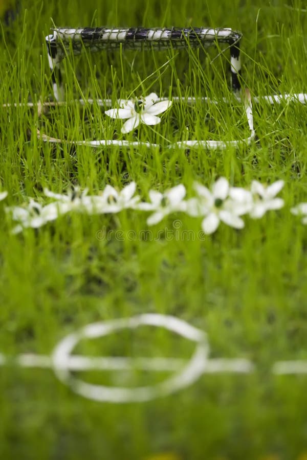 Mini flower football field stock image. Image of earth - 8114633