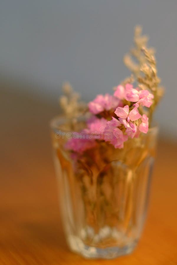 Mini flower stock photo. Image of rose, floral, pink - 94395648