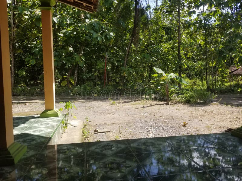 Mini forest on the garden stock image. Image of pond - 228361773