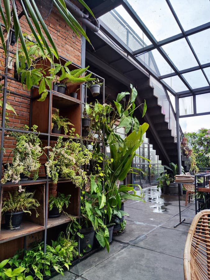 Mini Garden Indoors at Cafe in Bogor Indonesia Stock Photo - Image of ...