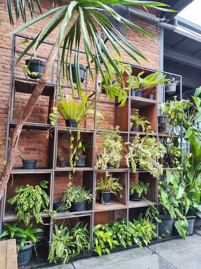 Mini Garden Indoors at Cafe in Bogor Indonesia Stock Photo - Image of ...