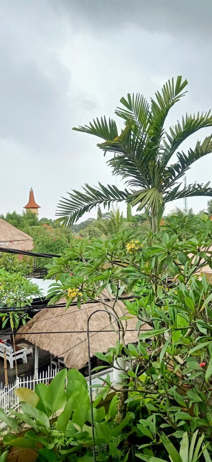 Mini Garden at rooftop stock photo. Image of village - 270433220