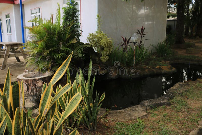 Mini Garden beside the White Villa Stock Photo - Image of mini, green ...