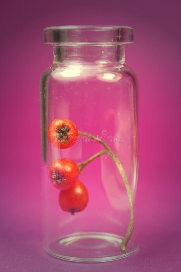 Mini glass bottle stock photo. Image of blackandwhitecats - 197330516