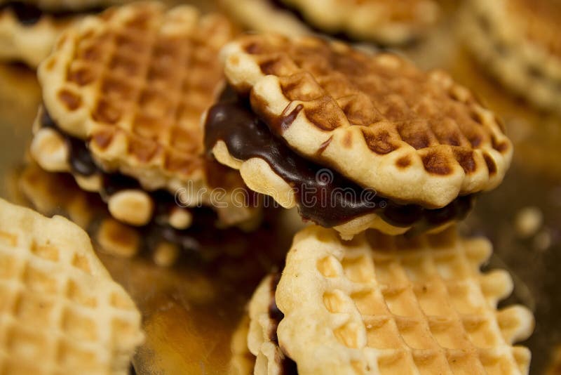 Gofer Stock Photos - Free & Royalty-Free Stock Photos from Dreamstime