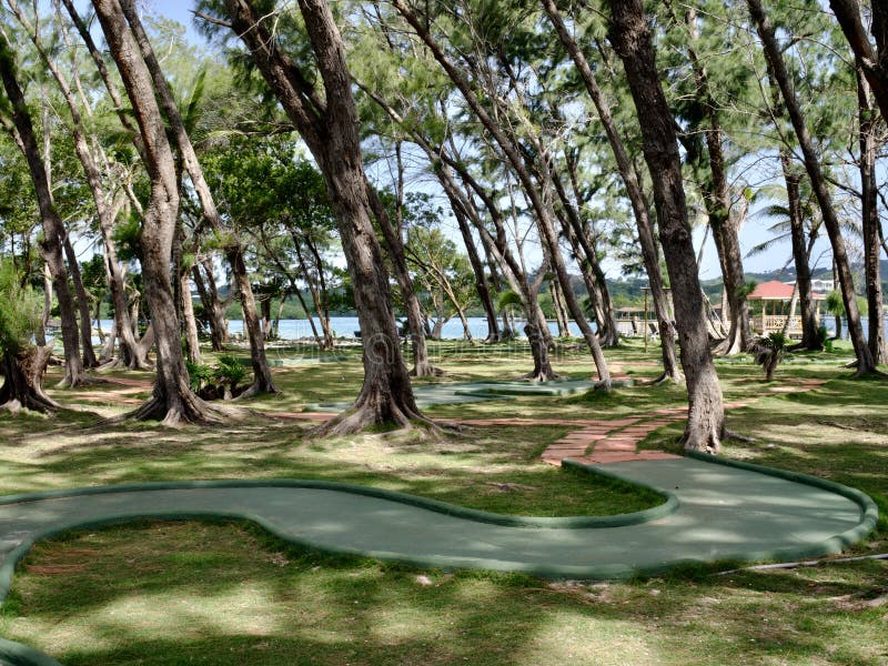 Mini Golf in the Trees at a Tropical Resort Stock Photo - Image of ...
