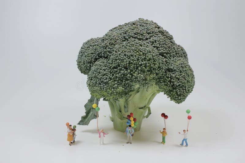 The MinI Happy Children with Balloons Near the Broccoli Tree Stock ...
