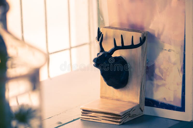 Mini head deer stock image. Image of european, comfortable - 79079419