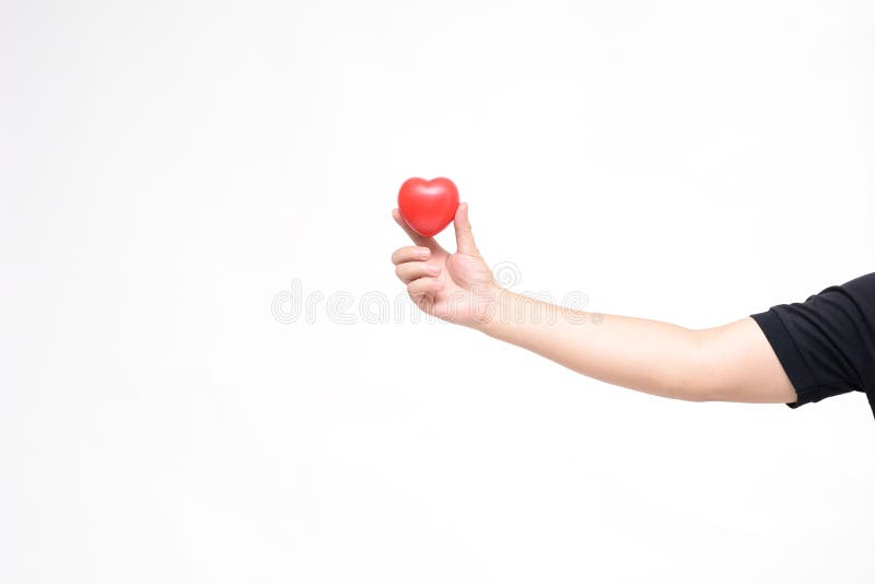 Mini Heart on hand stock photo. Image of heart, miniheart - 86153050