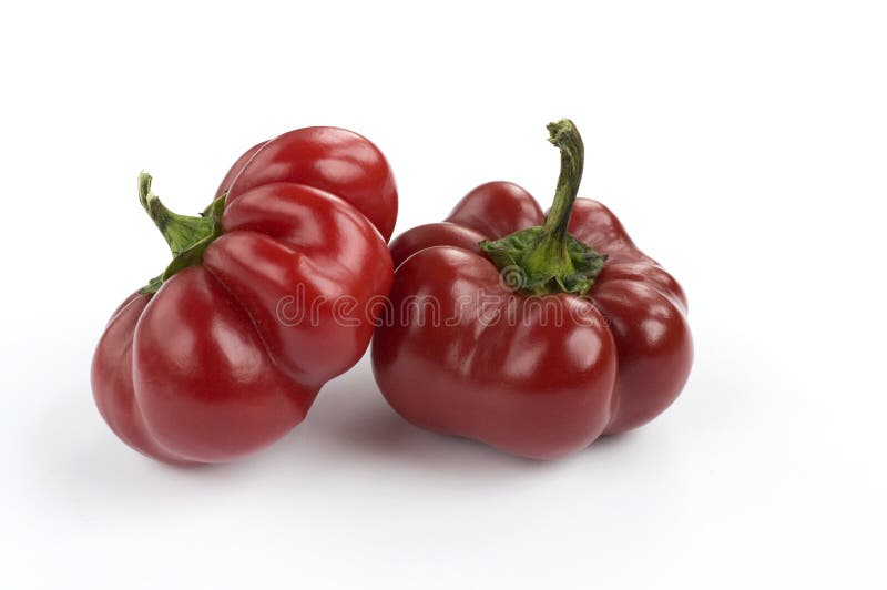 Cherry Bomb and Cascabella Peppers Stock Image - Image of cherry ...