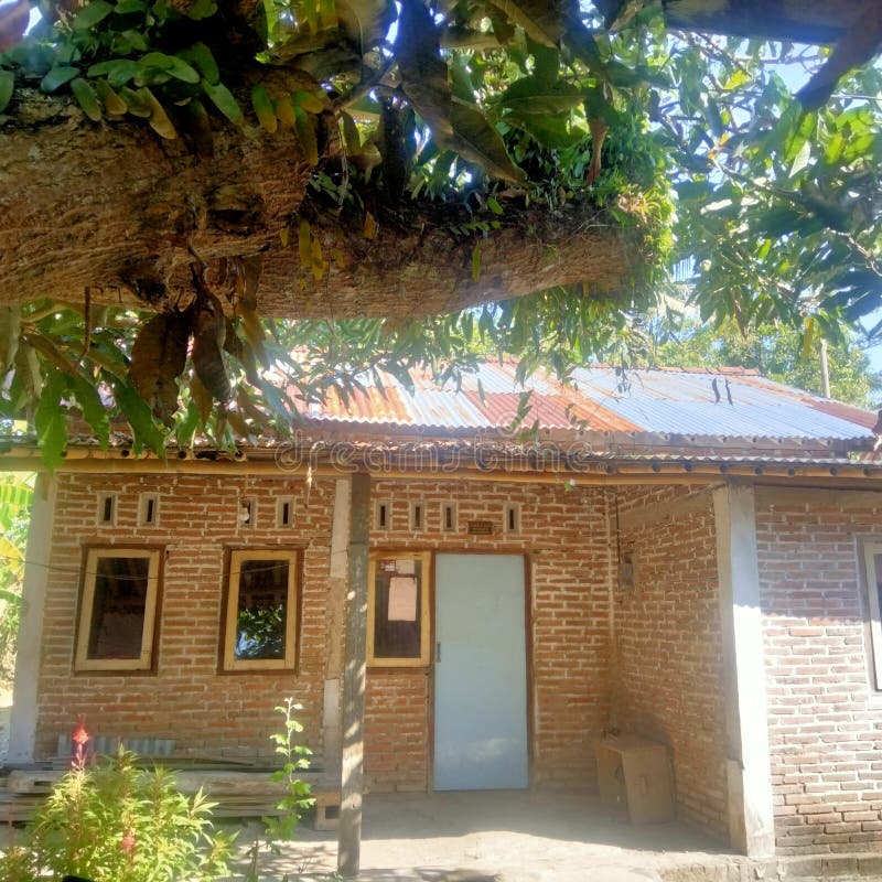 Mini House in Indonesian Village Stock Photo - Image of house, country ...