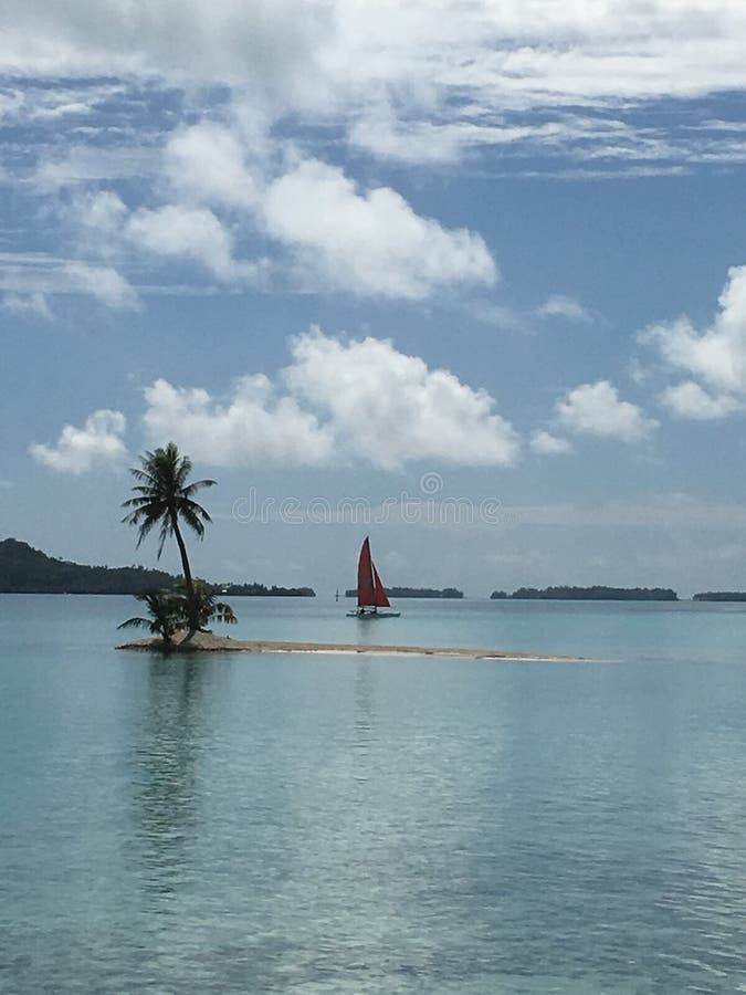 Mini Island with Mini Trees Stock Photo - Image of island, rock: 71648496