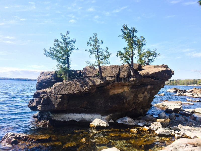 Mini Island with Mini Trees Stock Photo - Image of island, rock: 71648496